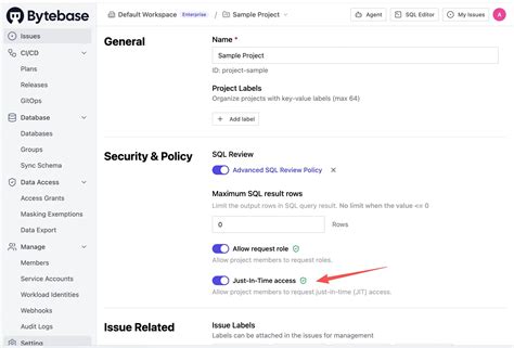 Just In Time Access Bytebase Docs
