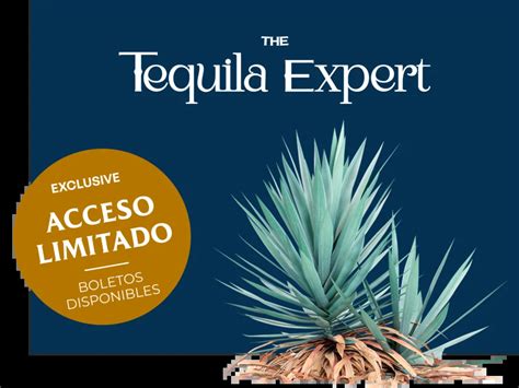 National Tequila Day Elevate Your Celebration