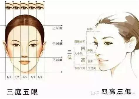 绘画干货：人体头部结构，难点解析及漫画应用 知乎