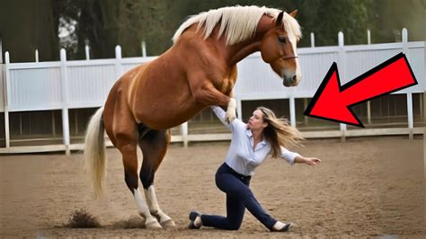 Der Wilde Hengst Rannte Auf Die Frau Zu Was Der Hengst Ihr Angetan
