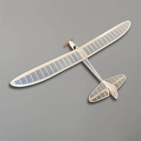 Skyraccoon Rc Model Flying Icon Database