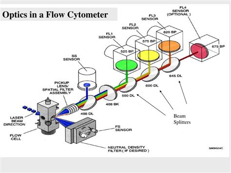 Ppt Fundamentals And Applications Of Flow Cytometry Scott Tighe Flow