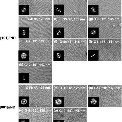 EBSD IPF Coloring Orientation Map IPF Triangle SEM And AFM Images Of Download Scientific