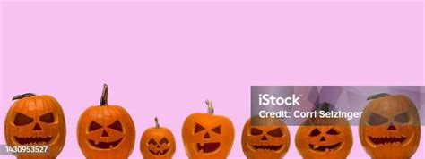 할로윈 배너 파노라마 긴 와이드 템플릿 부드러운 파스텔 핑크 배경에 고립 된 많은 무서운 조각 오렌지 호박 10월에 대한 스톡 사진 및 기타 이미지 Istock