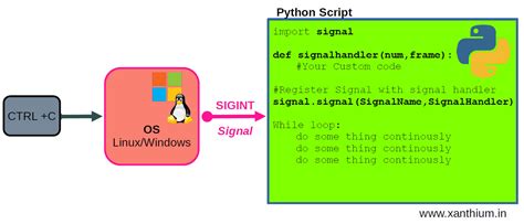Capturing And Handling Os Signals Like Sigint Ctrl C In Python Xanthium Enterprises