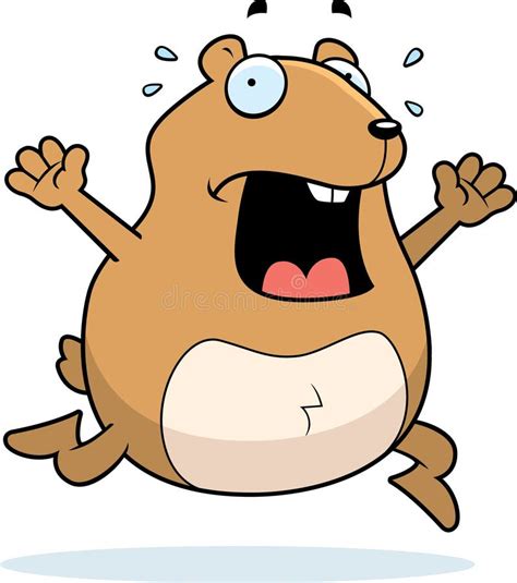 Hamster Panic Stock Vector Illustration Of Scared Terrified 12461706