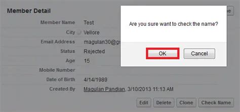how to call apex method from a custom button in salesforce
