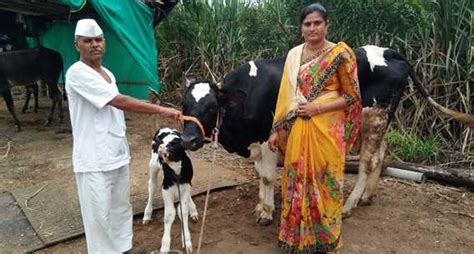 Livelihood Enhancement Program Csr Projects India