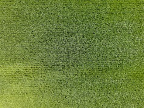 Grass Field Overview Images Free Download On Freepik