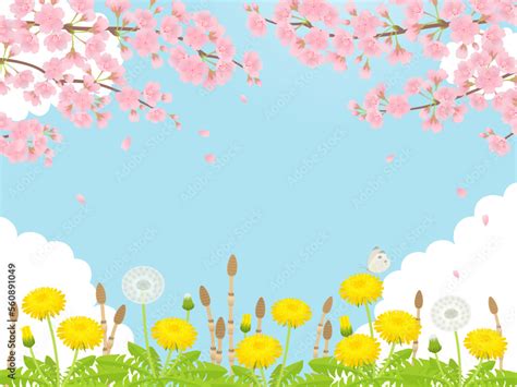 満開の桜・たんぽぽ・つくしの春の風景フレーム背景ベクターイラスト Stock Vector Adobe Stock