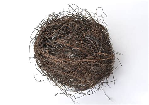 How To Make A Bird Nest In Minutes