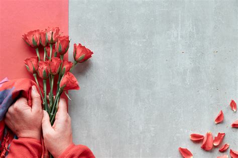 돌에 대각선 기하학적 종이 배경입니다 플랫 누워 빨간 장미와 활기찬 트렌디 한 색상 스카프 흩어져 있는 꽃잎을 들고 여성의 손 상단보기 발렌타인 데이 생일 또는 어머니의