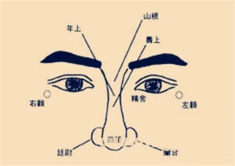 面相鼻子看你能力大小运势吉凶
