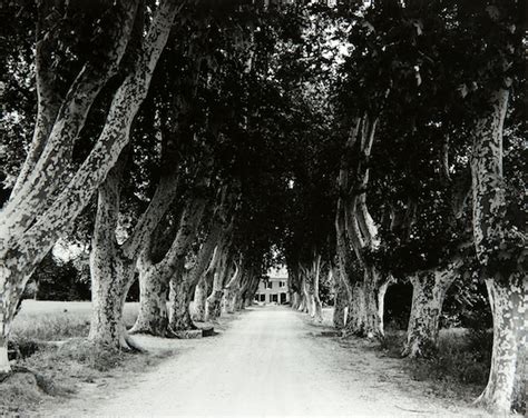 Sales History Of Bruce Zander Artwork Network