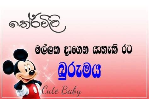 දැනුම් සයුර දරුවන්ට තේරවිලි💚💚