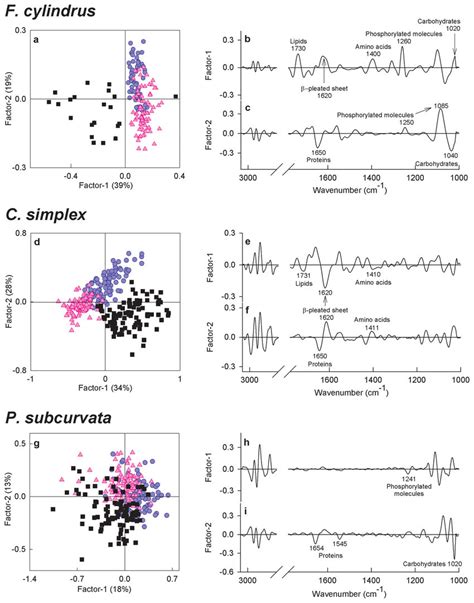 Partial Least Squares Discriminant Analysis Plsda Plsda Modelling
