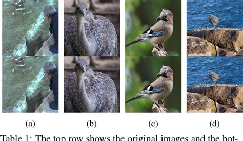 Table 1 From Simple Black Box Adversarial Attacks On Deep Neural Networks Semantic Scholar