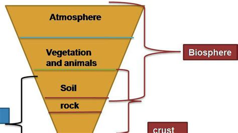 Csir Ugc Net Environment And Concept Of Ecosystem Csir Ugc Net By