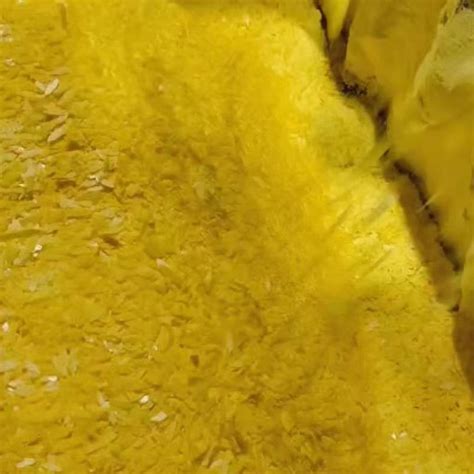 Drum Flaker（chemical Cooling Flaking） Shuangsheng