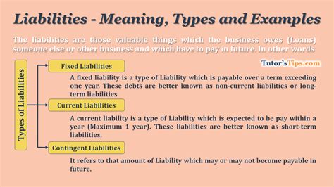 Assets Meaning Definition Types And Examples Tutor S Tips