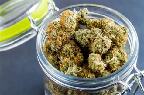 Tips For Streamlining Your Wholesale Cannabis Purchasing Process