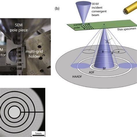 Transmission Scanning Electron Microscopy Defect Observations And