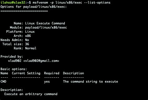slae assignment 5 3 shellcode analysis exec by nacho lahoz medium