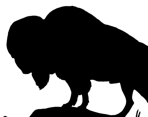 Buffalo Silhouette Clip Art At Getdrawings Free Download