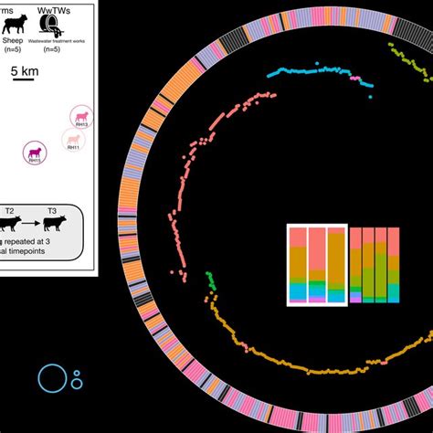 Distinct Plasmid Lifestyles Between Amr And Non Amr Plasmids 254 A Download Scientific