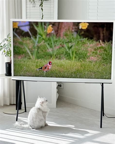 제이히홈 자상한 남편과 사랑스러운 나비랑🏡🐈 제품협찬 꼭한번 써보고싶었던 캡슐세탁세제🧺🫧 브리오신에도 예쁜 캡슐세제가 론칭했어요ᐟ 캡슐세제도 세제지만 틴케이스 무엇