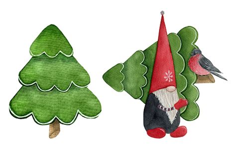 소나무가 있는 크리스마스 그놈 선물을 가진 스칸디나비아 엘프 격리된 흰색 배경에 수채화 그림 12월에 대한 스톡 벡터 아트 및 기타 이미지 Istock