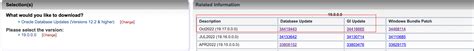 Oralce 19c 1917 Ru 20221018最新补丁含校验码（gidbopatch） 墨天轮资源
