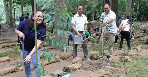 អាជ្ញាធរជាតិអប្សរាសហការជាមួយវិស័យឯកជនដាំដើមឈើ និងស្មៅនៅបរិវេណជ្រុងពាយ័ព្យ នៃកសិន្ធុអង្គរ