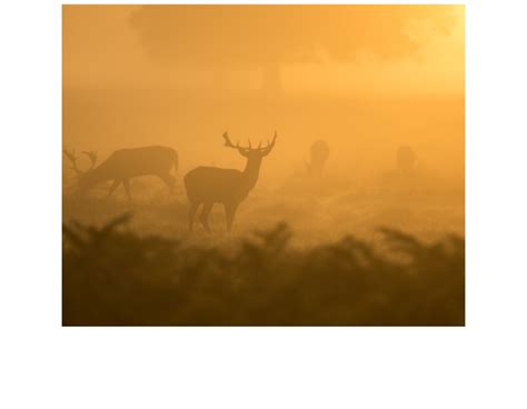 Html图片缩放动画，图片变焦特效模板 17素材网