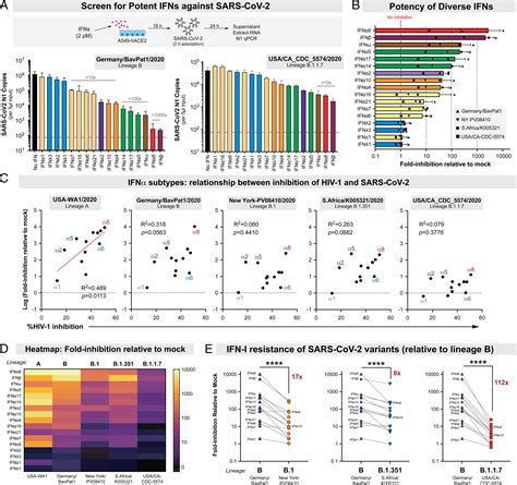 Interferon Resistance Of Emerging Sars Cov 2 Variants Pnas