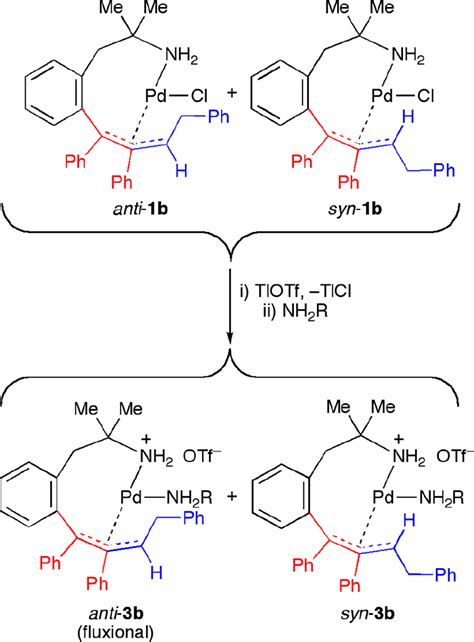 Scheme 5 Reactions Of η 3 Allyl Complex 1b With Ptoluidine Download