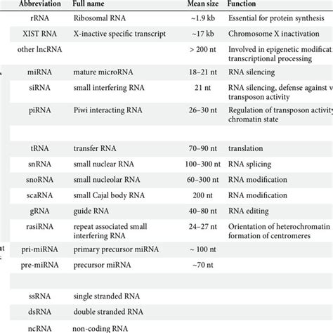 Non Coding Rna Classifi Cation Download Table