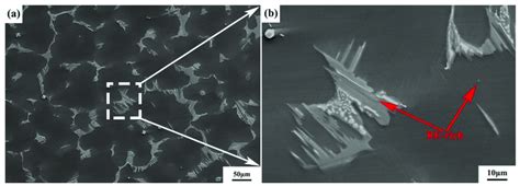 Original Microstructure Of Mg 9gd 4y 2zn 0 5zr Alloy A Sem Image Download Scientific