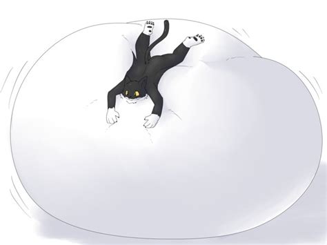 Favorites Gallery For Catsikune Fur Affinity [dot] Net