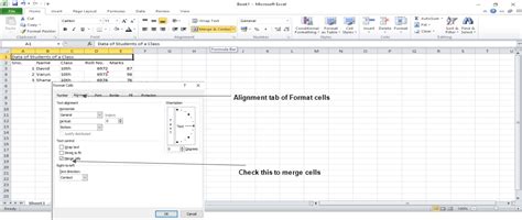 formatting cells in excel 2010 computer notes