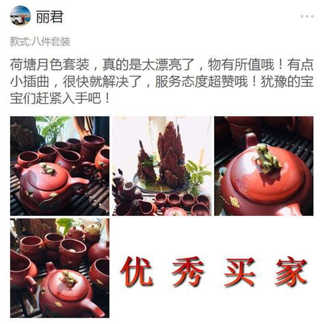 ⑧比正宗宜興名家紫砂壺壺 荷塘月色具裝 大紅袍純全手工 大號單壺 CFYP005 露天市集 全台最大的網路購物市集