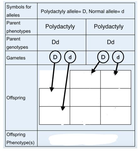 Inheritance Biology Part 2 Flashcards Quizlet