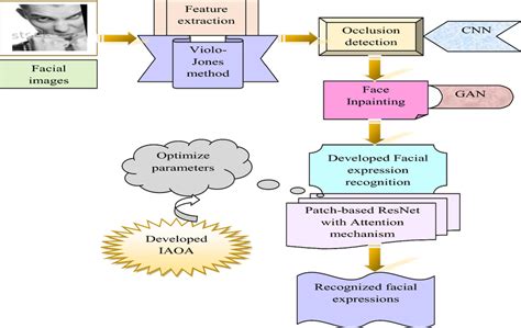 Architectural View Of Suggested Occlusion Detected Fer Scheme Using