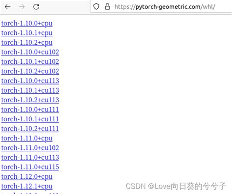 代码运行出现：no Module Named ‘torchgeometric‘安装了但仍然显示 No Module Named