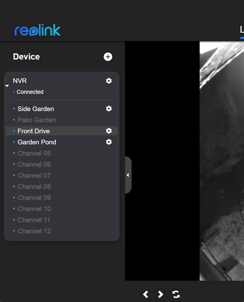 Unable To View Individual Cameras In Reolink Client Only Nvr R