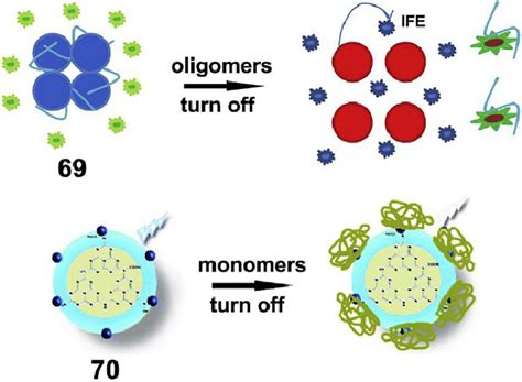 Schematic Representation Of The Fluorescence Probes 69 And 70 For Download Scientific Diagram