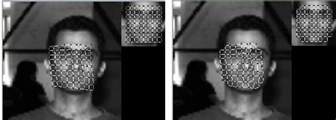 Elastic Graph Matching Egm Demonstrations With Or Without Vertices Of