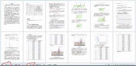 2024mathorcup妈妈杯 C题完整思路数据集完整代码高质量成品论文