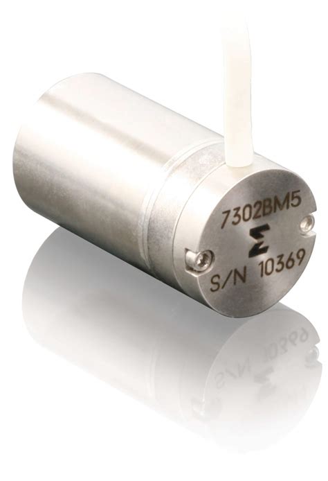 Strain Gauge Accelerometer At Mia Mort Blog