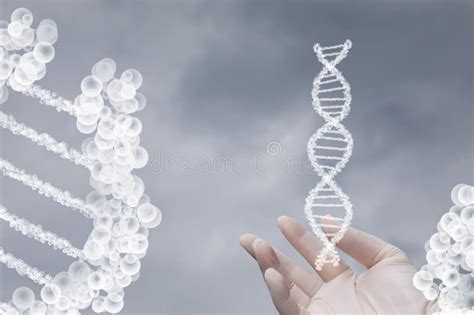 Visualizing Dna Molecules In Scientific Research Stock Image Image Of Double Innovation